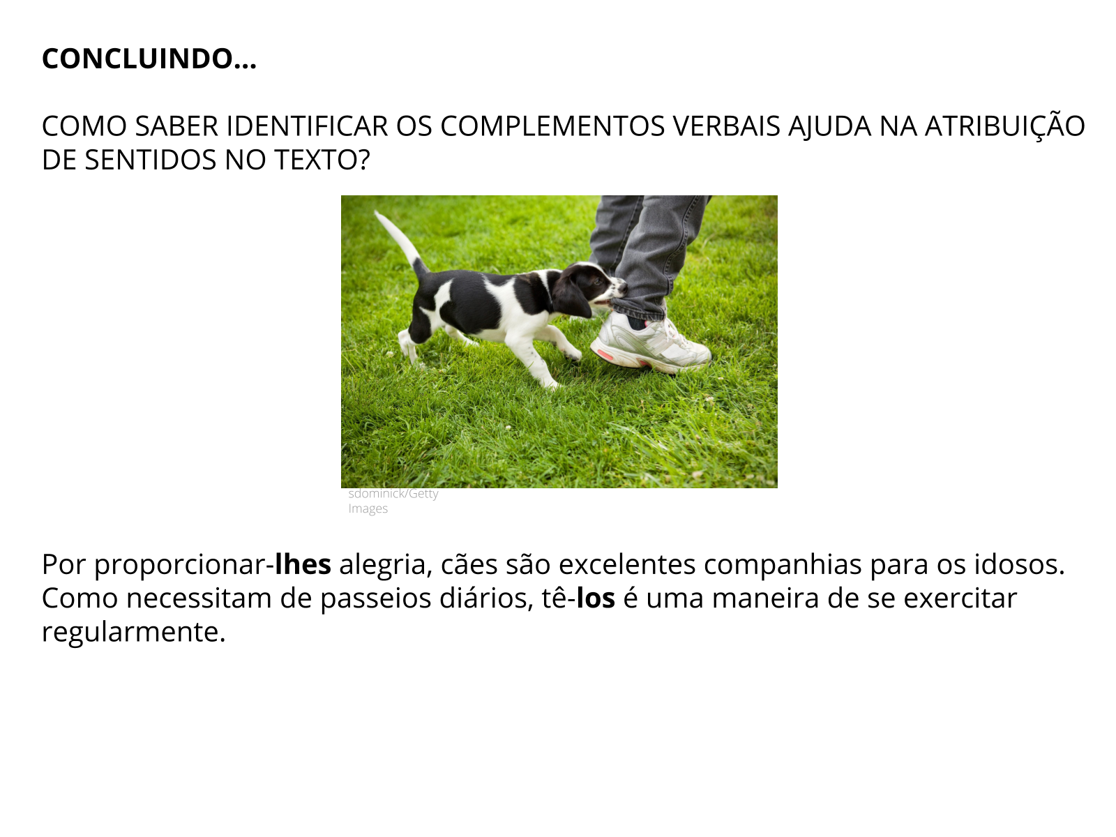 O complemento verbal e seu papel para a atribuição de sentidos nos ...