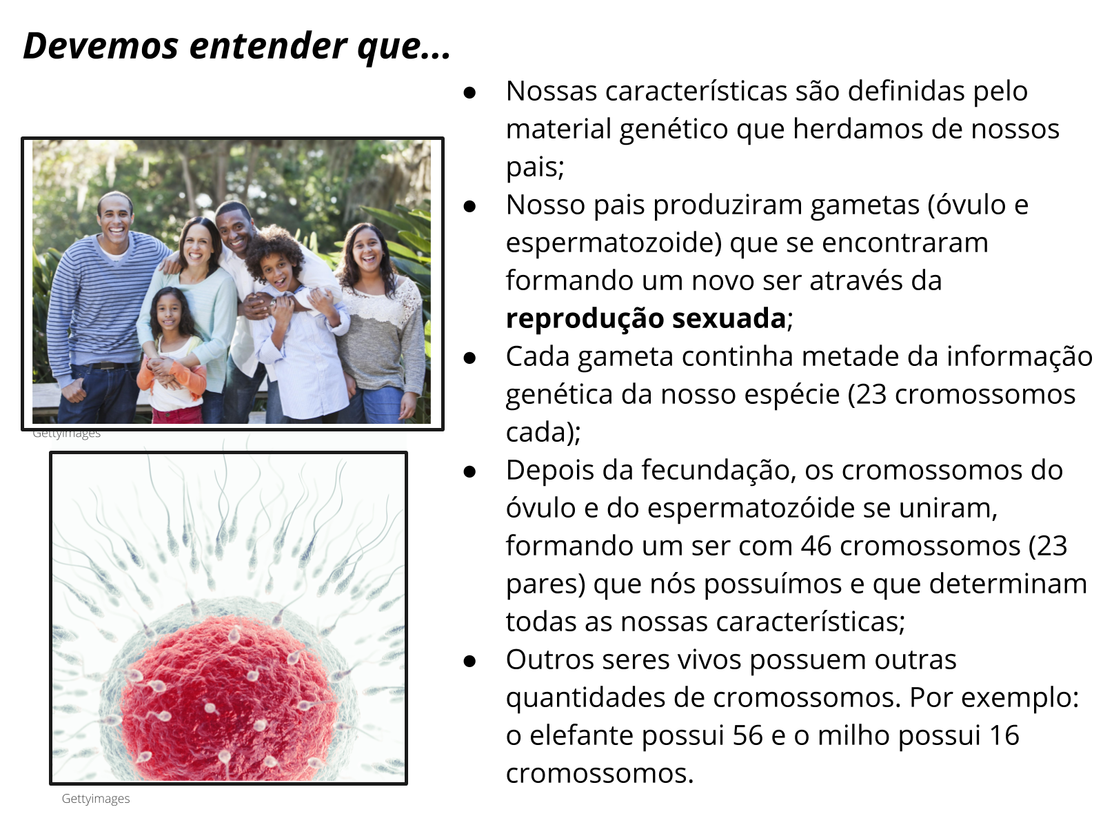 Conhecendo os gametas - Planos de aula - 9º ano - Ciências
