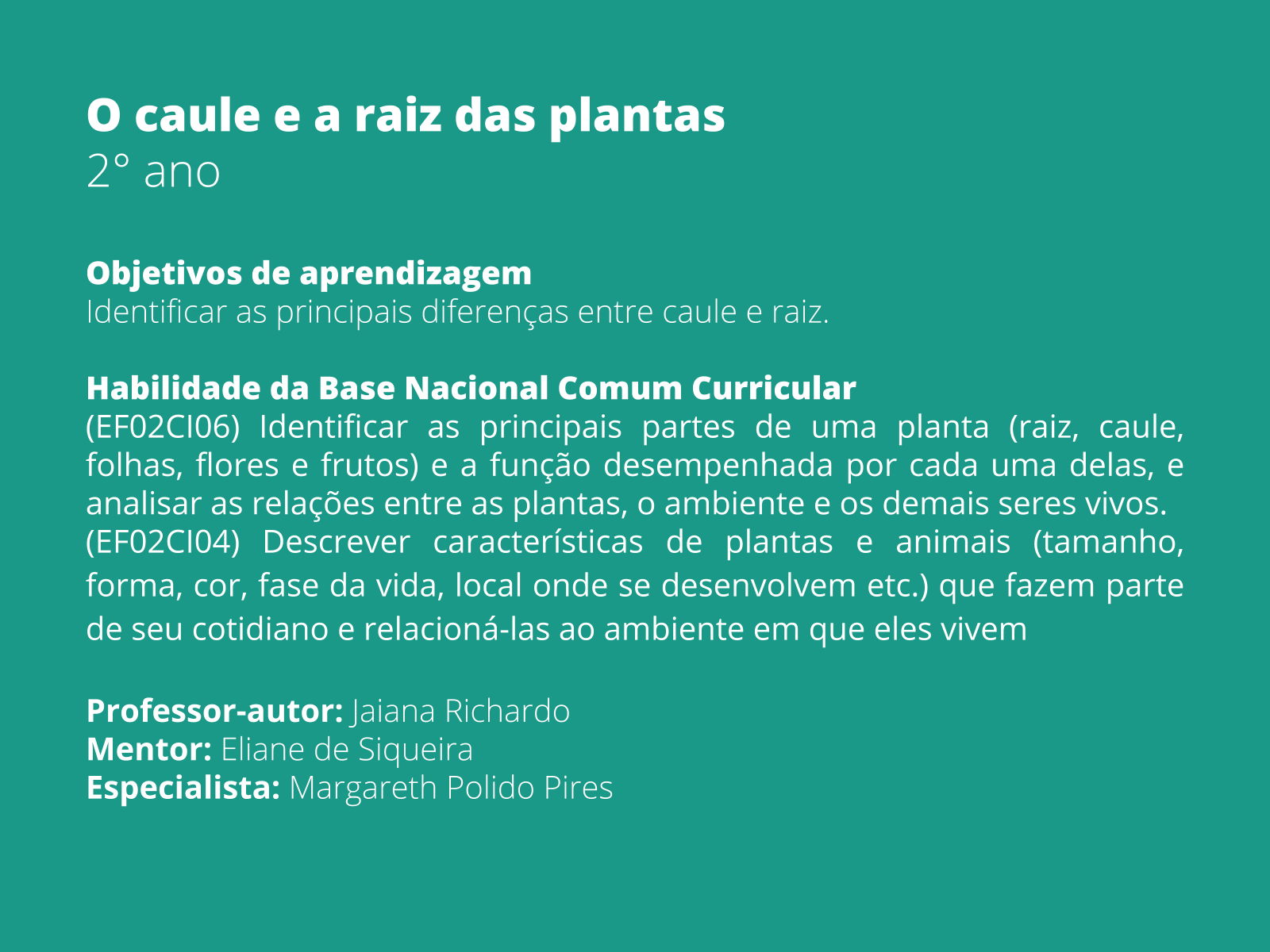 Plano de aula - 2o ano - O caule e a raiz das plantas