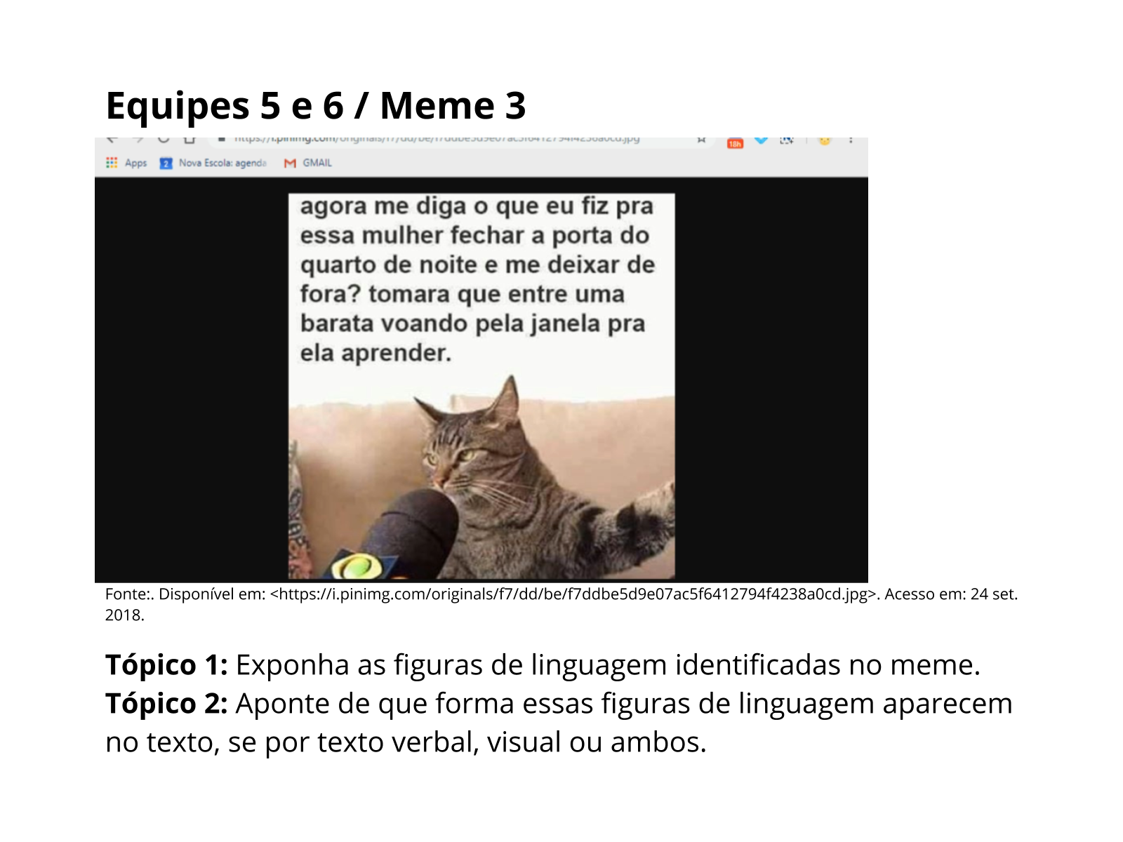 Plano De Aula 8º Ano O Efeito De Sentido Irônico Da Personificação