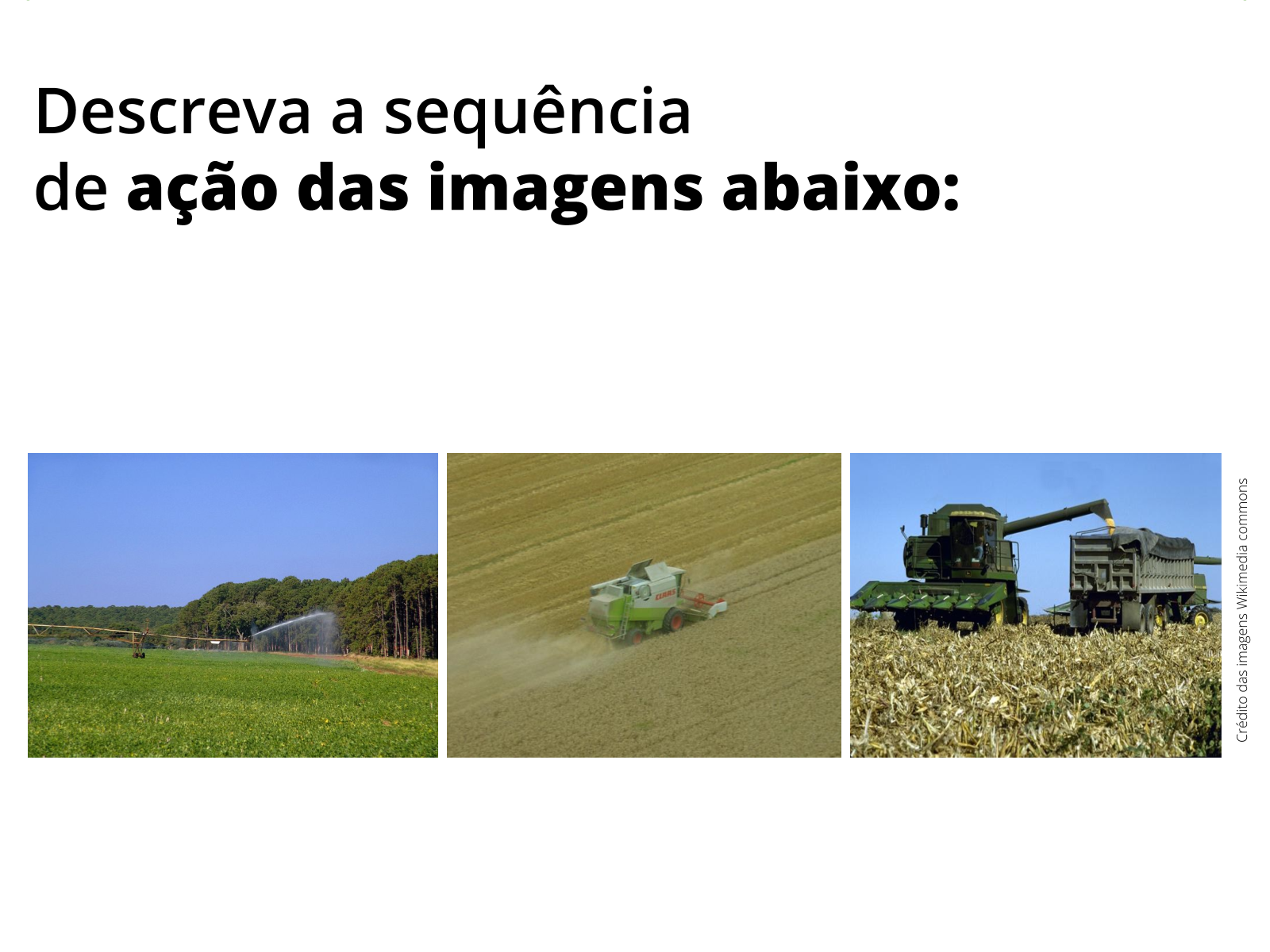 Técnicas de cultivo: Tradicional X Moderna - Planos de aula - 3º ano ...