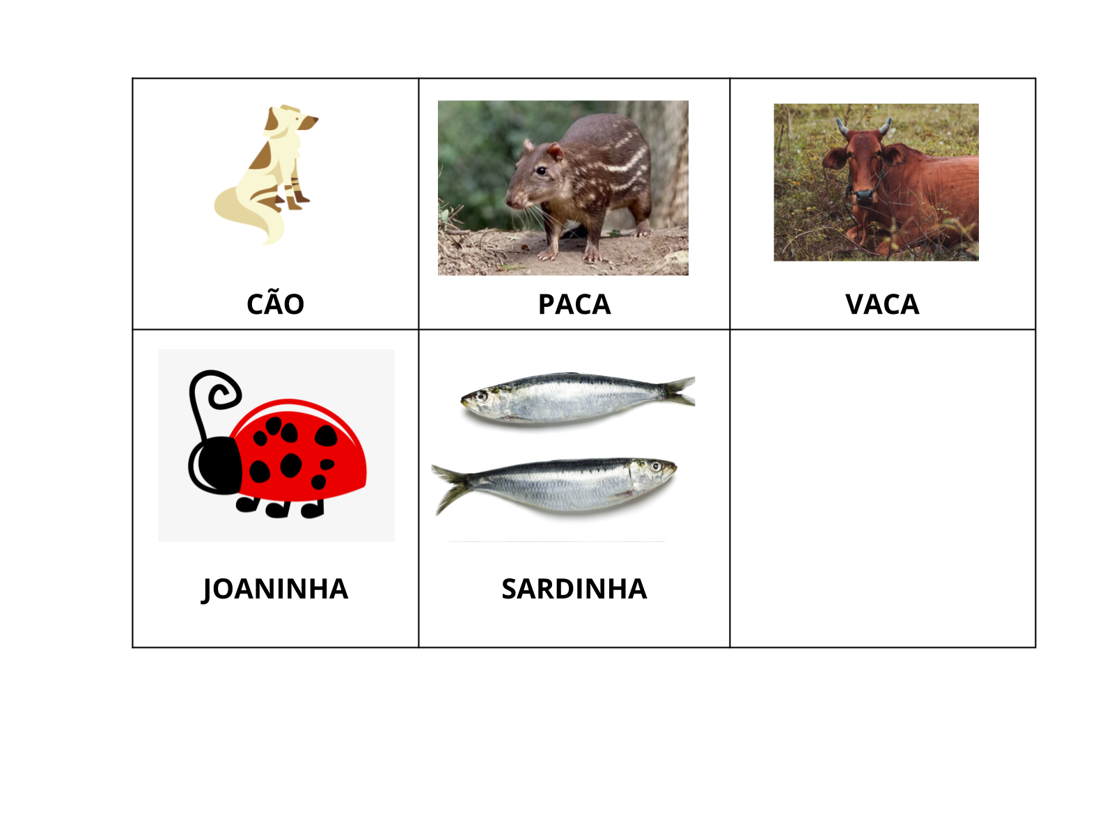 Animais que rimam - Jogo da memória - 1º ano - Língua Portuguesa