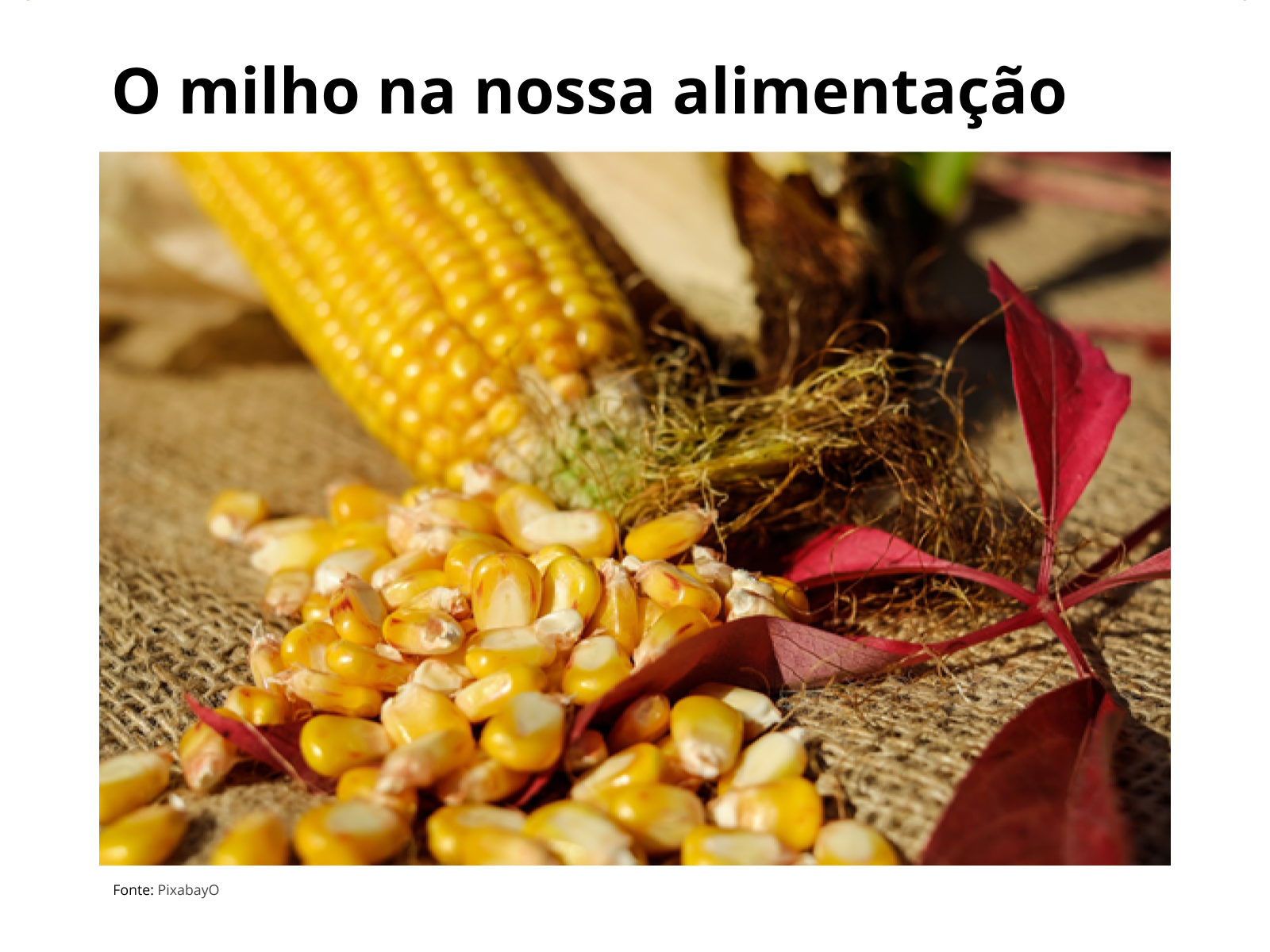 Alimento de origem indígena - Planos de aula - 4º ano - Geografia