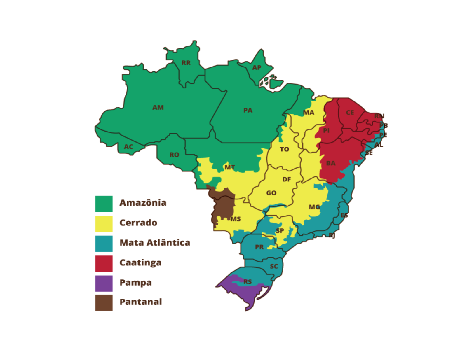 Ecossistema Brasileiro- Cerrado