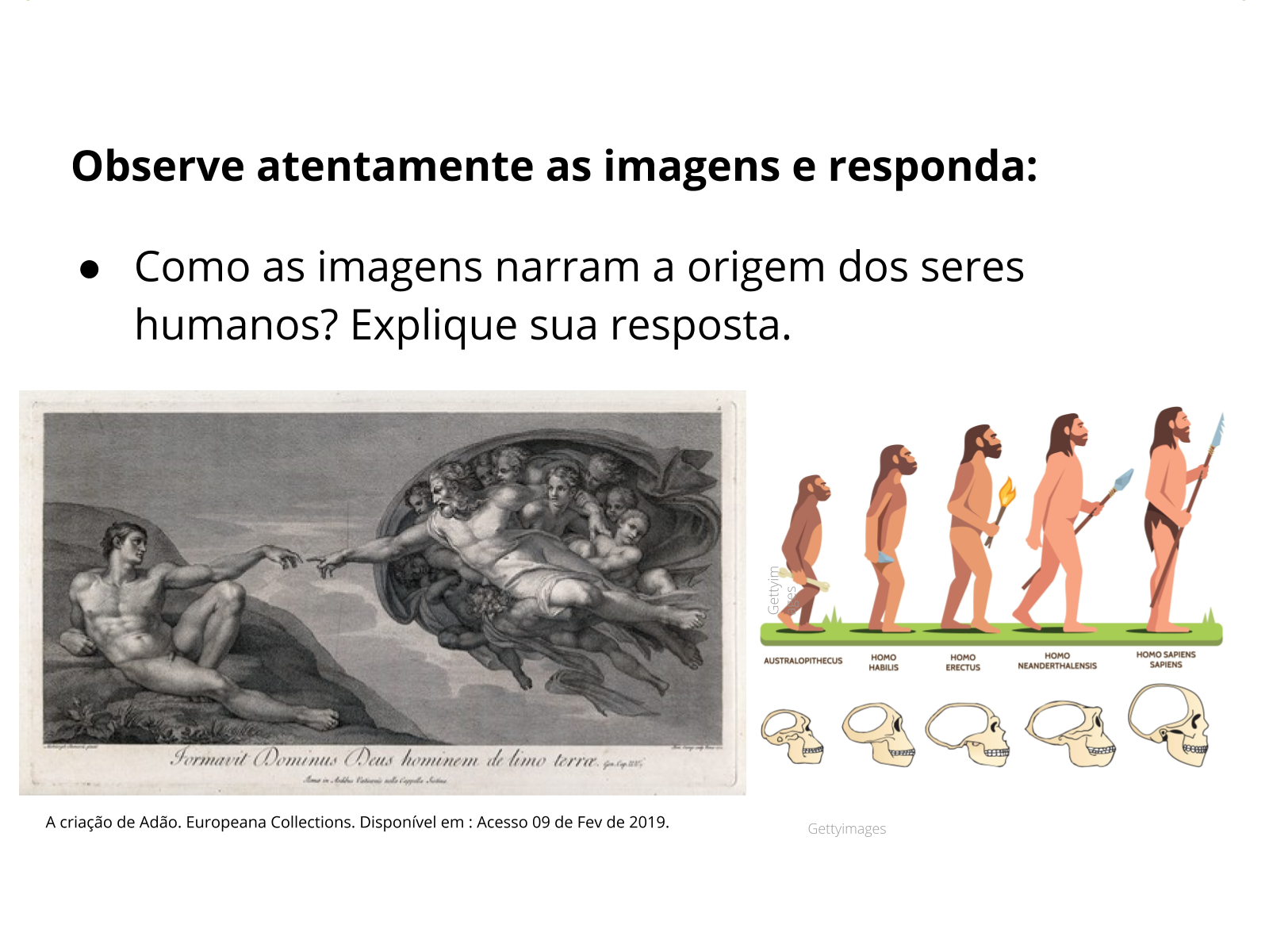 Plano De Aula 6º Ano Criacionismo E Evolucionismo