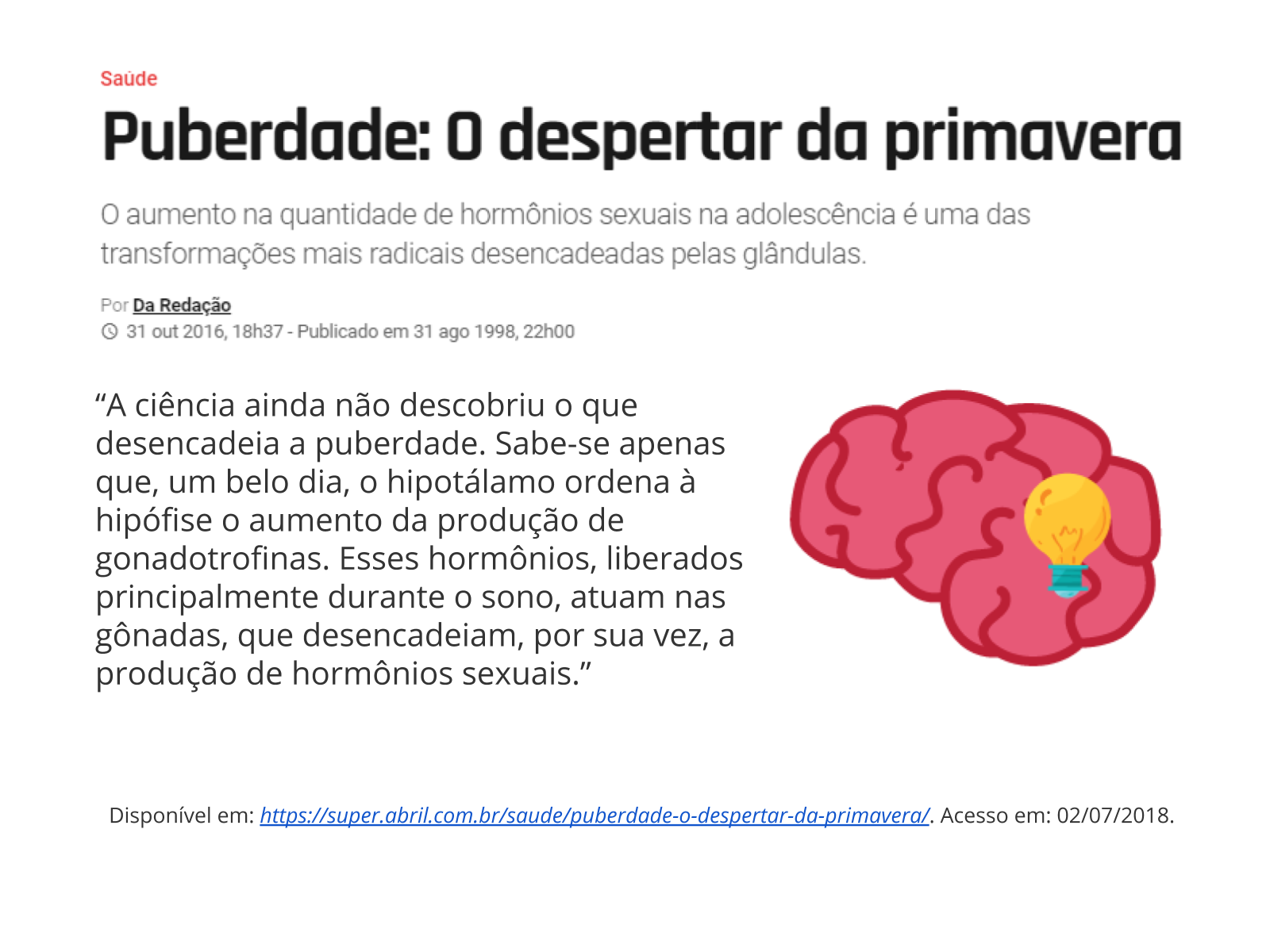 Plano De Aula 8o Ano Muito Mais Que Hormônios E Espinhas A Relação